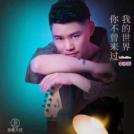 我的世界你不曾来过是什么歌截图