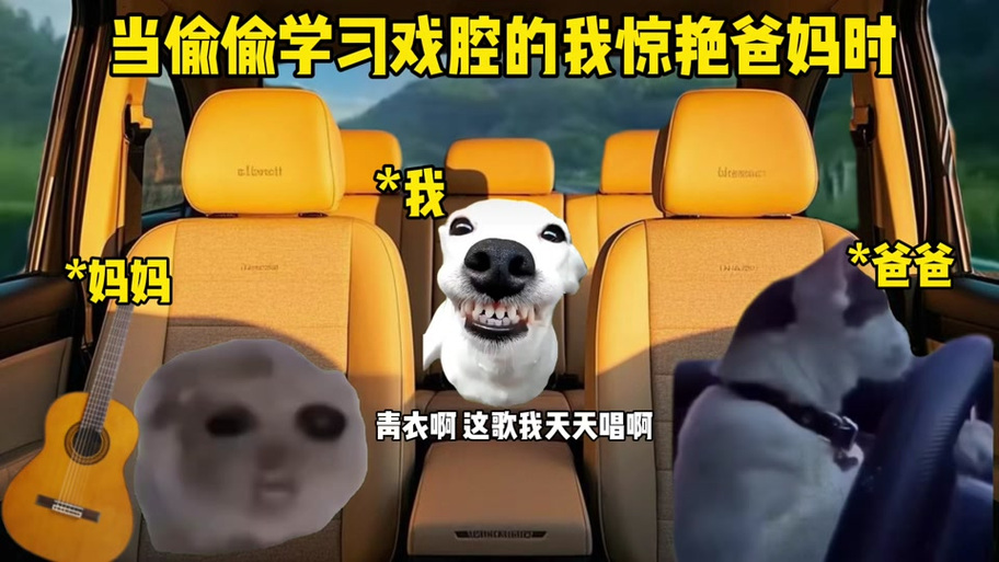 猫meme唱歌视频图标