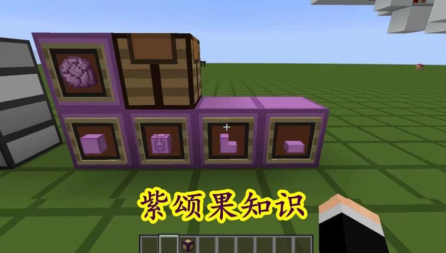 我的世界怎么让紫颂果快速生长图标