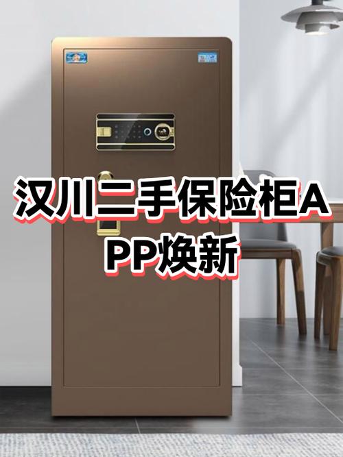 APP保险箱历史版本图标