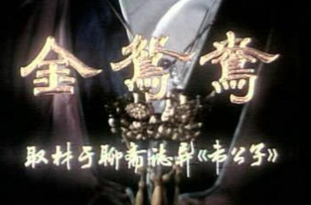 金鸳鸯电影免费观看韩国电影截图