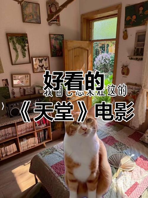 mkv电影天堂截图