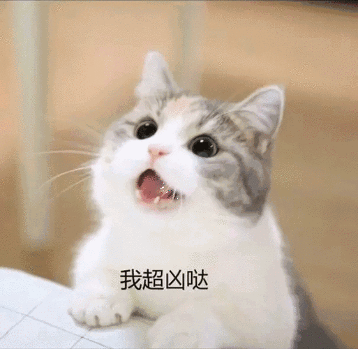 奶凶奶凶的表情包图标