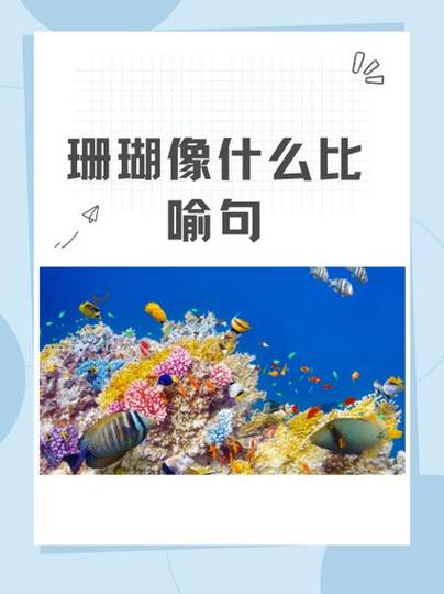 珊瑚的广告语截图