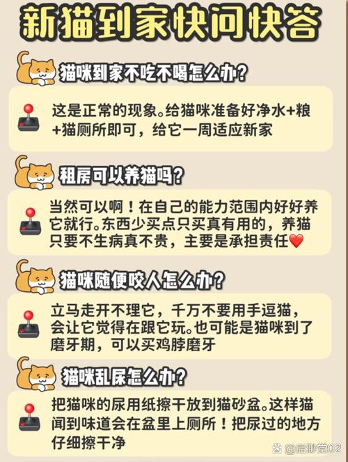接到小白是什么意思图标