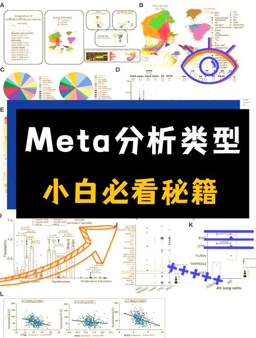 metaphor的分类截图