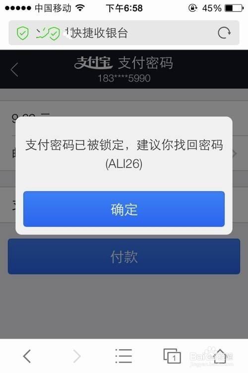 支付宝密码输错次数限制图标