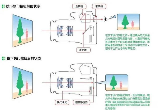 尼康d850详细参数图标