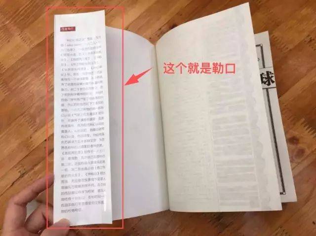书怎么分辨正版和盗版图标