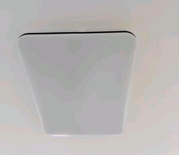 家里吸顶灯要一闪闪后才亮