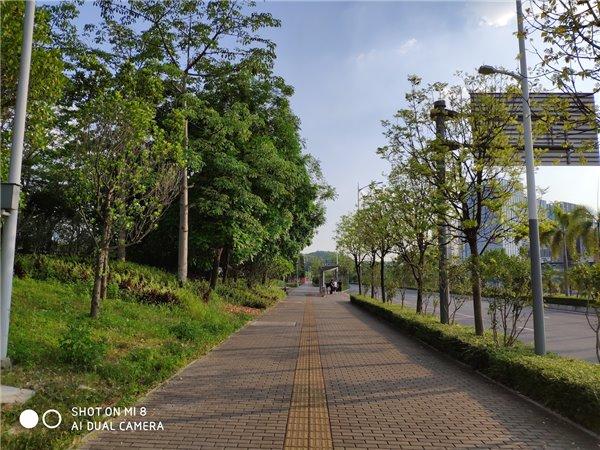 小米8拍照怎么样