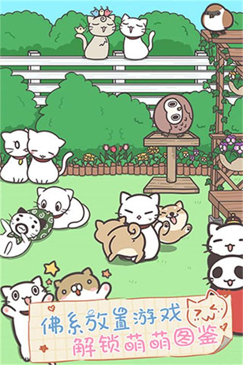 猫咪饲养日常图标