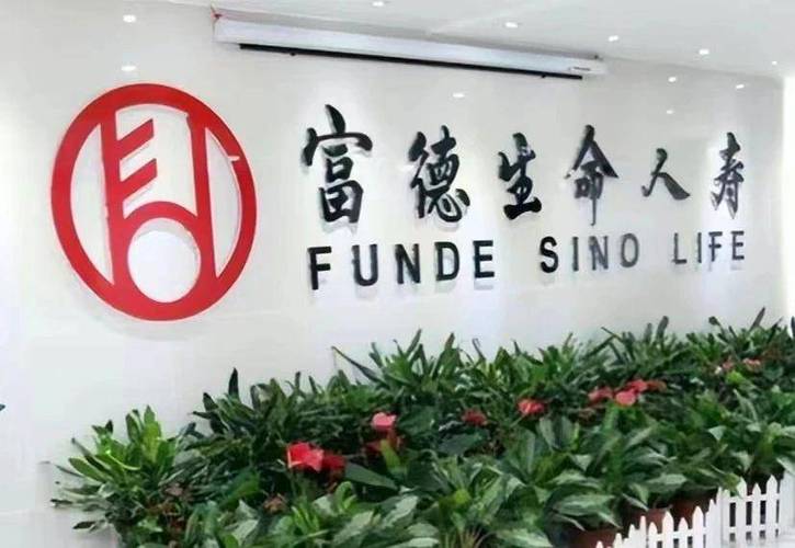 富德生命人寿保险百万医疗图标