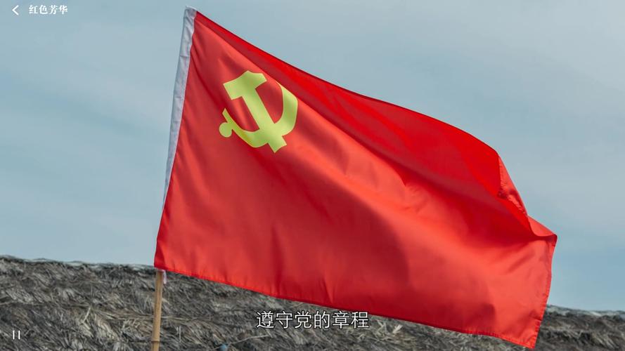 隐形守护者红色芳华结局怎么进入图标
