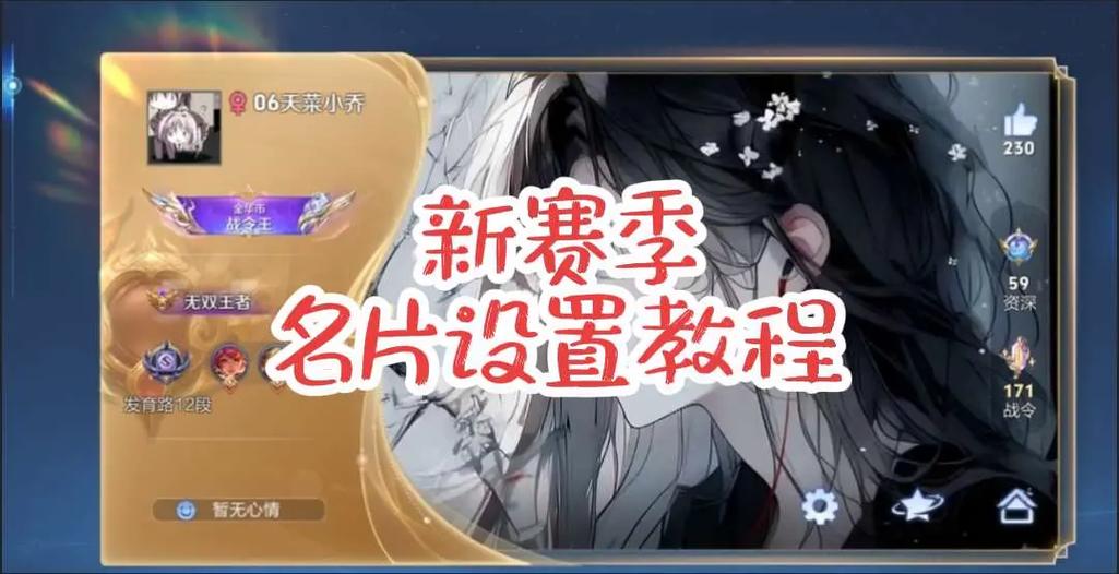 王者自定义名片软件图标