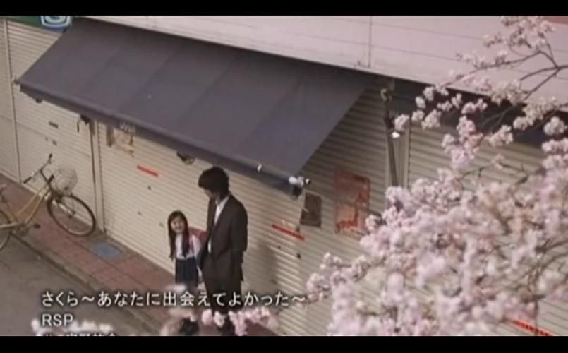 樱花樱花想见你中文版图标