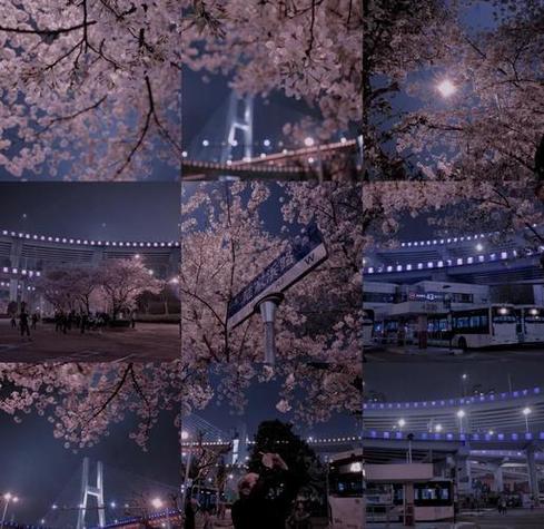 iQOO怎么把夜景拍照关掉图标