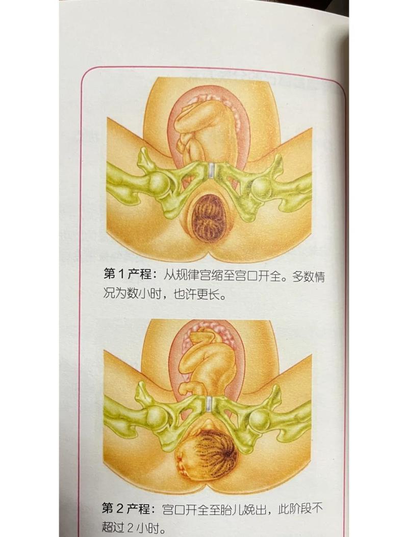 宫口全开图标