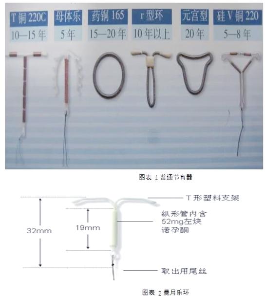 曼月乐环的图片图标