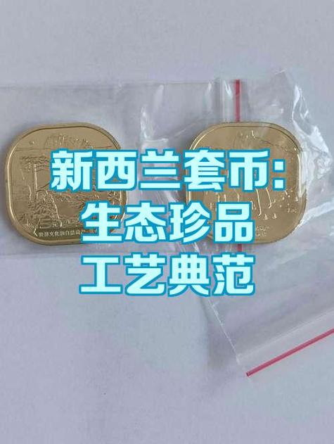 500新西兰币图标