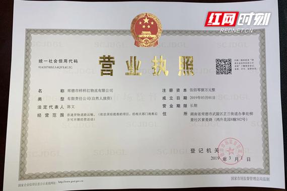 湖南政务服务网办理营业执照图标