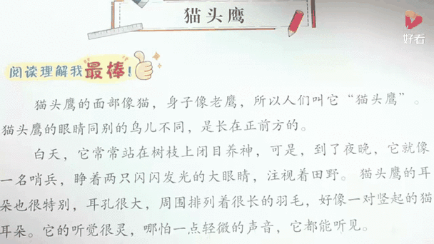 猫头鹰阅读理解题及答案图标