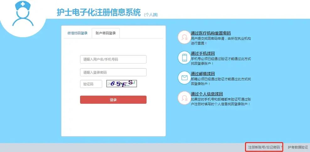 护士电子注册网站图标