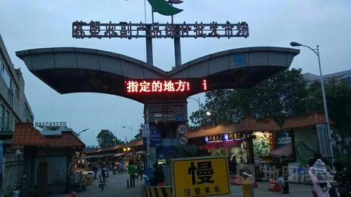 广州十大农贸综合市场图标