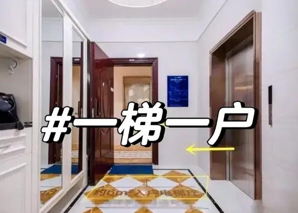 用过梯子之后上不了网图标