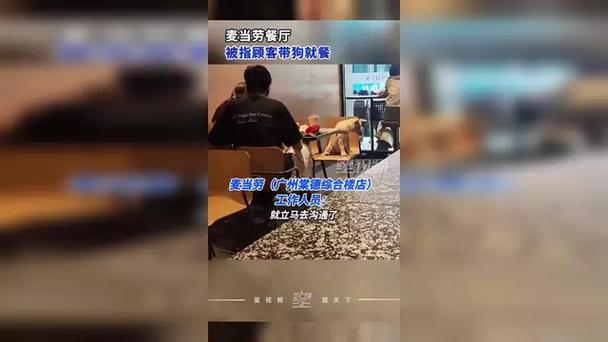 麦当劳回应有顾客带狗就餐截图