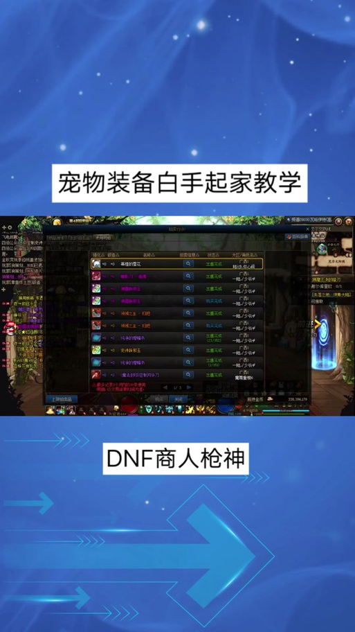dnf蓝色宠物装备大全图标