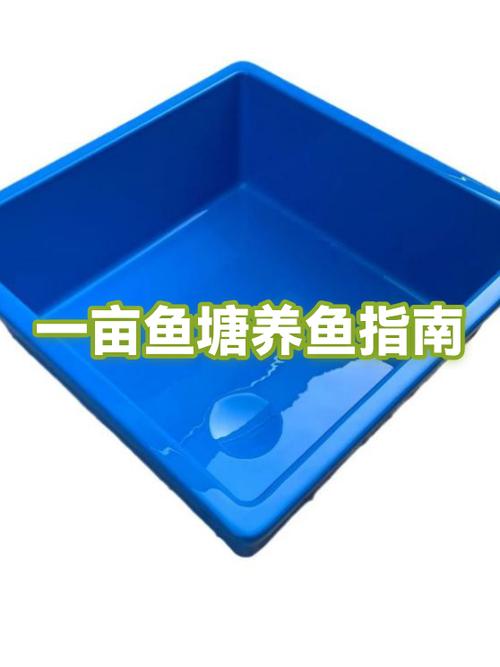 一什么鱼塘填空答案截图