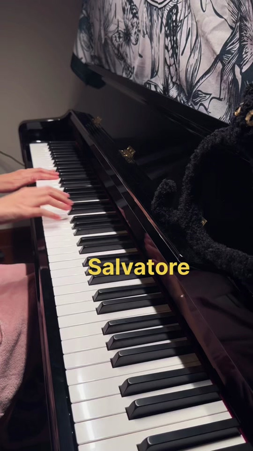 salvatore翻译截图