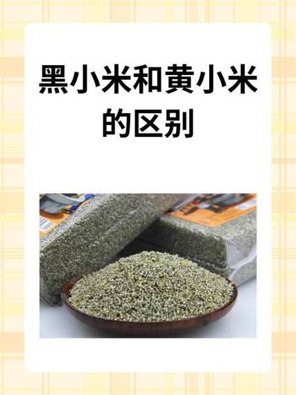 黑小米绿小米和黄小米哪种好图标