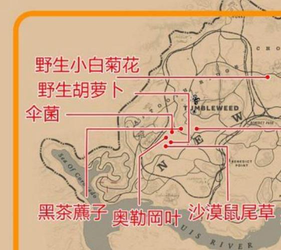 荒野大镖客2落雨草药图标