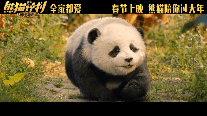 《熊猫计划》在线观看图标