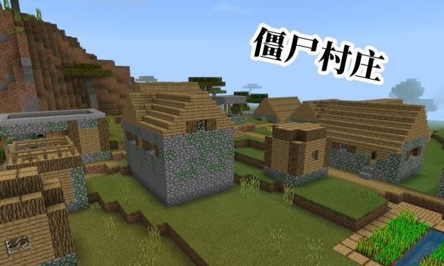僵尸村民可以变回村民吗图标