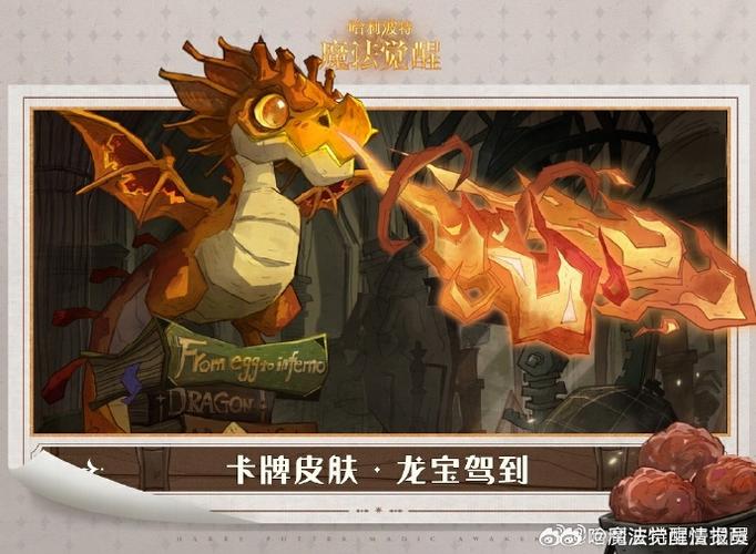 哈利波特魔法觉醒 龙皮