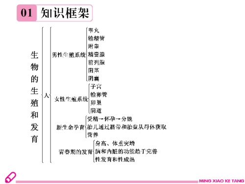 初二生物的生殖和发育知识点图标