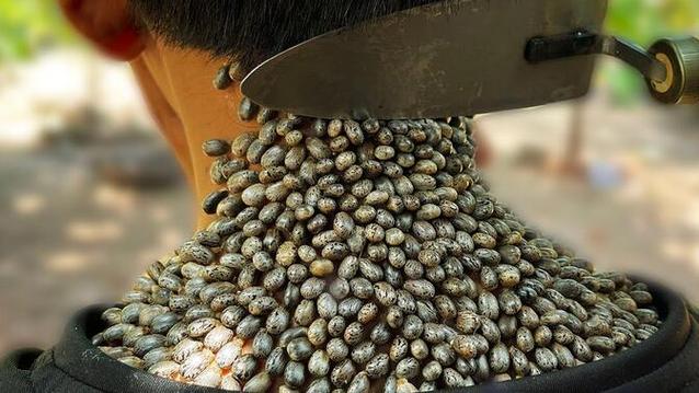后背长满密密麻麻虫子视频
