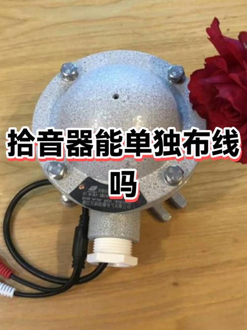 拾音器可以单独使用吗截图