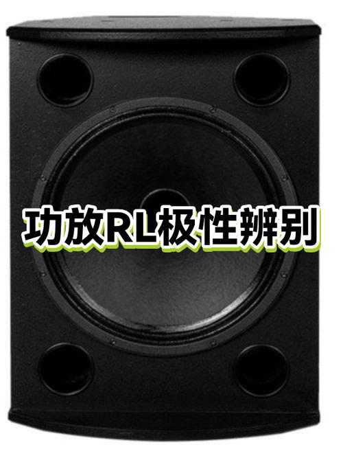 音响上RL是啥意思图标