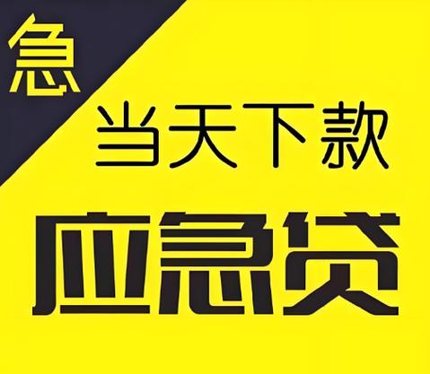 天天应急贷款app下载图标