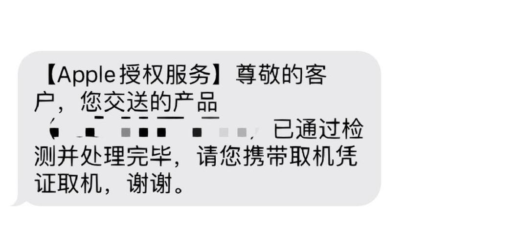 无法在此ipad激活面容ID图标