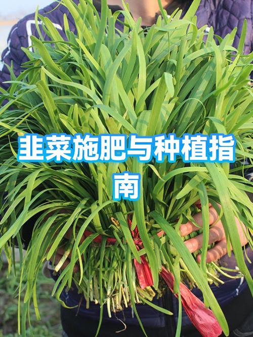 韭菜种植管理技术图标