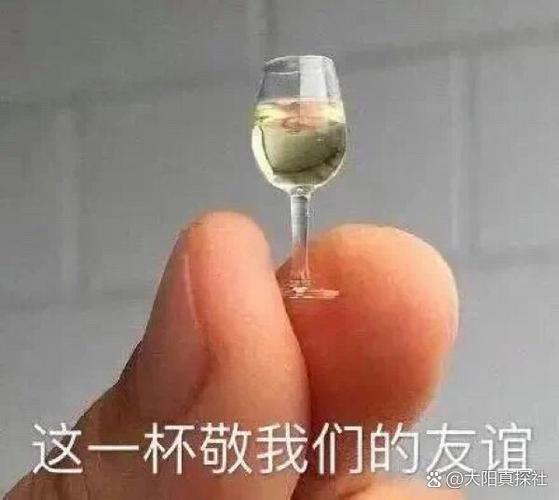 敬你一杯表情包图标
