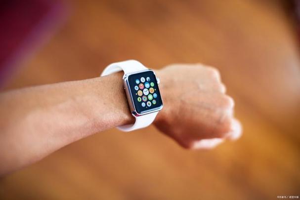 applewatch强制重启图标