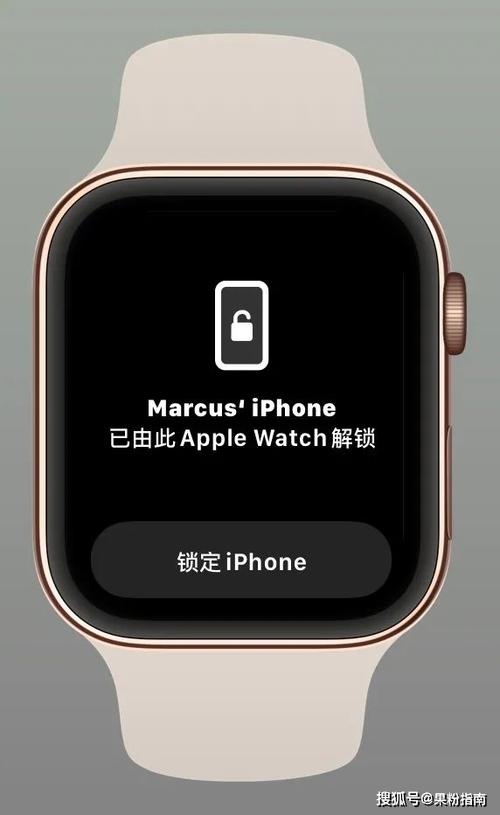 苹果手表可以锁定手机吗图标