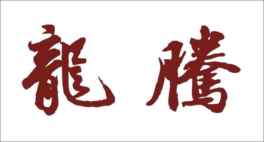 龙腾小说中文网图标