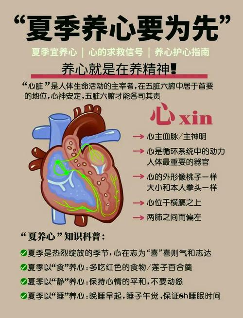 如何养好心脏图标